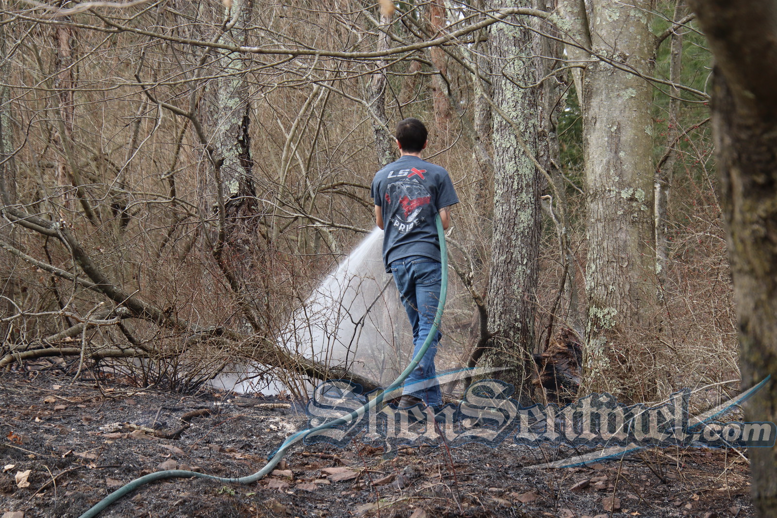 About 4 1/2 acres burn in rural Brandonville brush fire - The ...