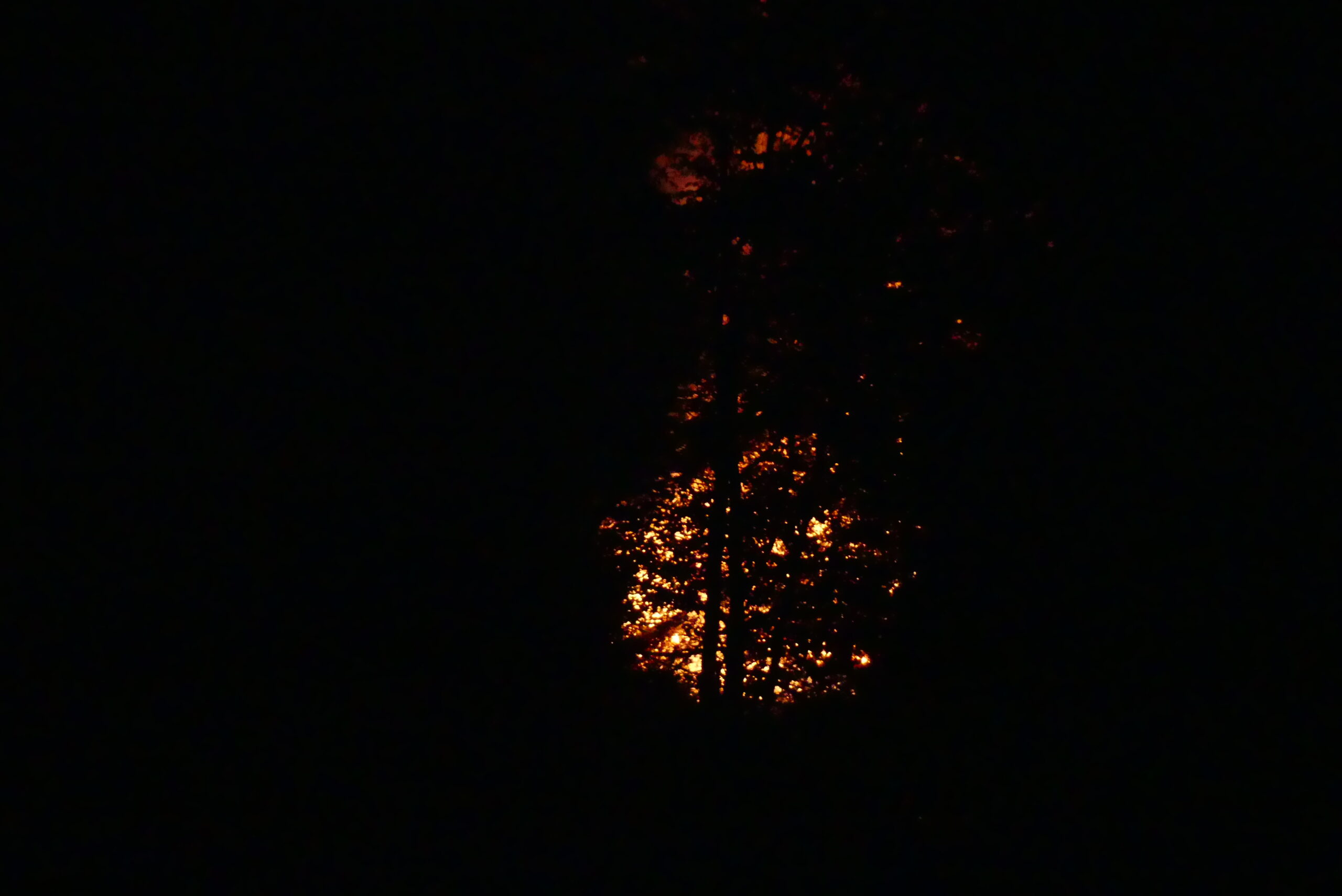 Flames rip through Lavelle home overnight - The Shenandoah Sentinel