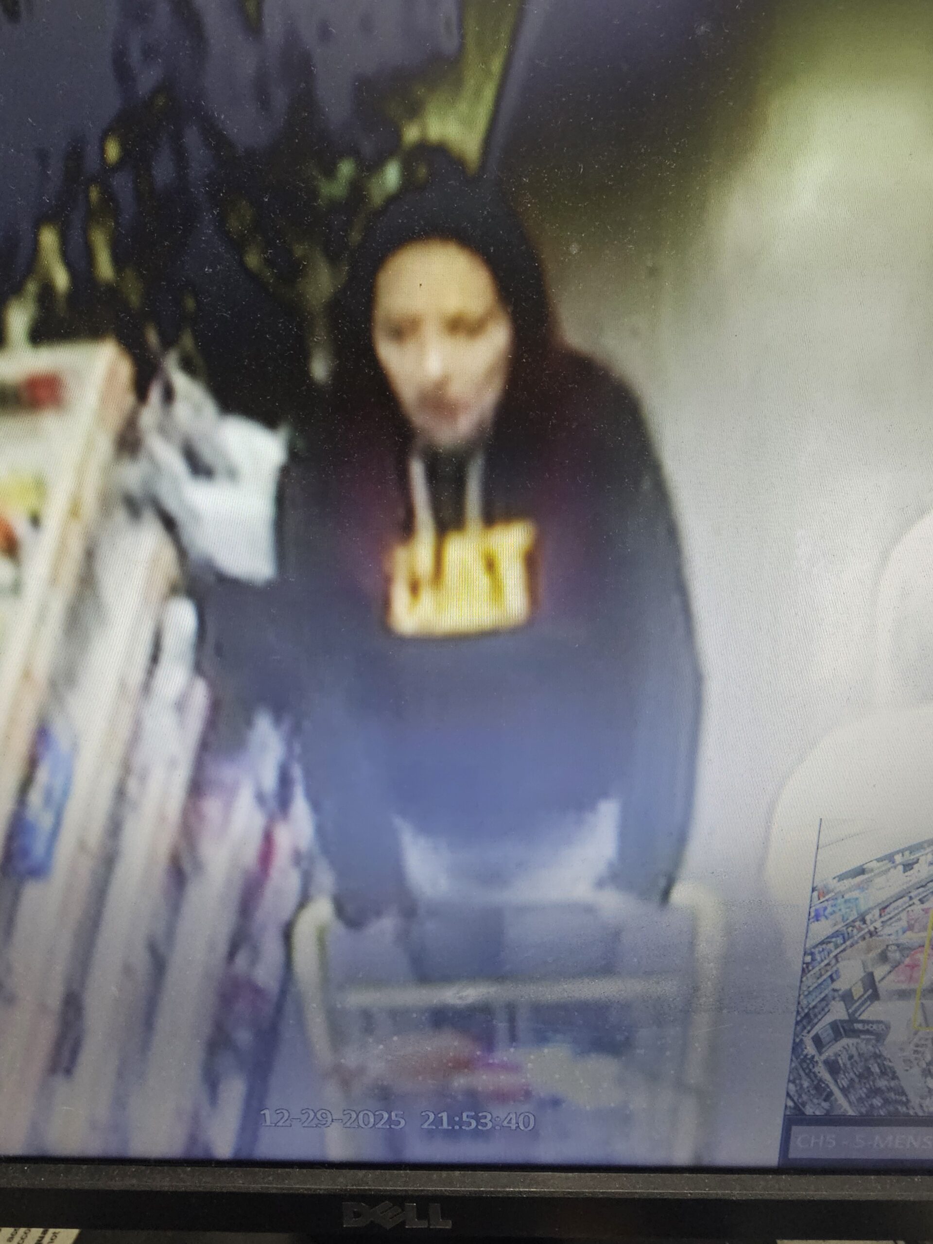 Troopers seek woman accused of shoplifting $500 in LEGO - The ...